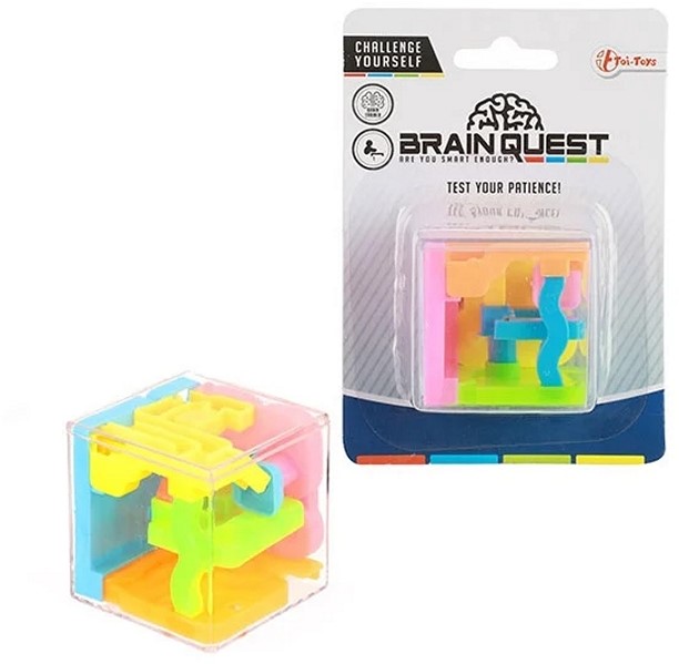 BRAIN QUEST Patience game_puzzle (fidget) -maze 3D